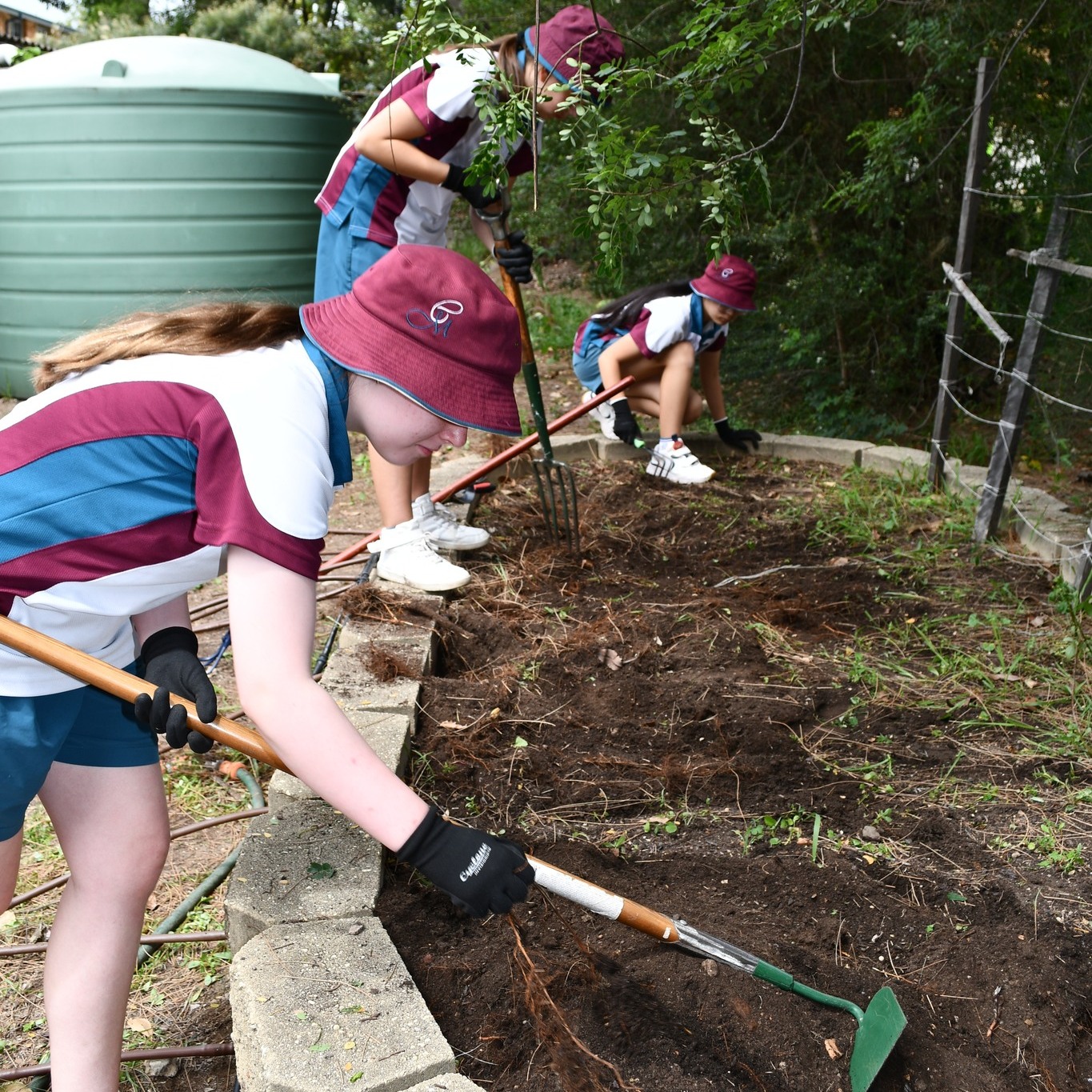 Project Compassion Launch